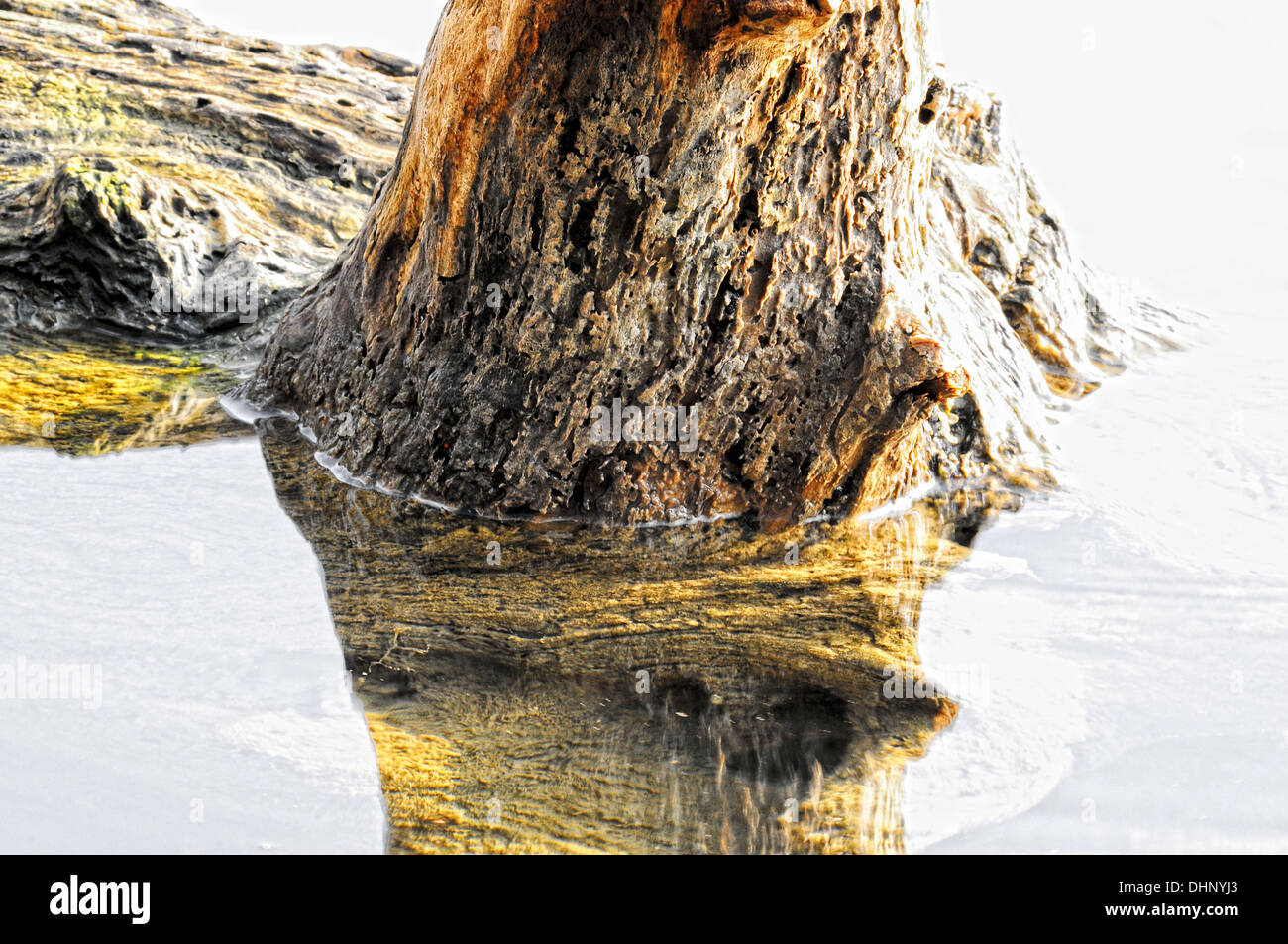 Wood over and under water Stock Photo - Alamy