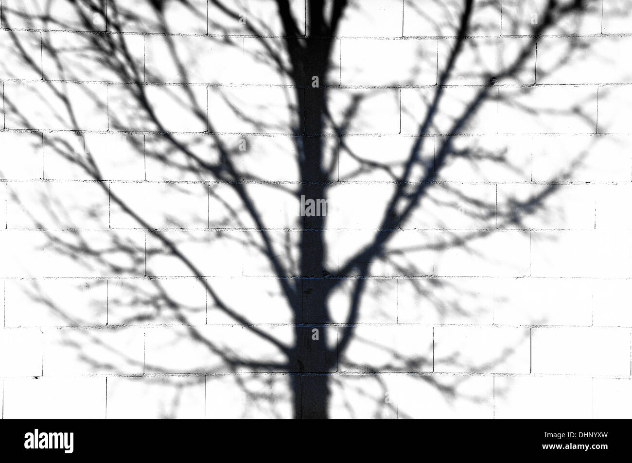 Shade cast by tree hi-res stock photography and images - Alamy