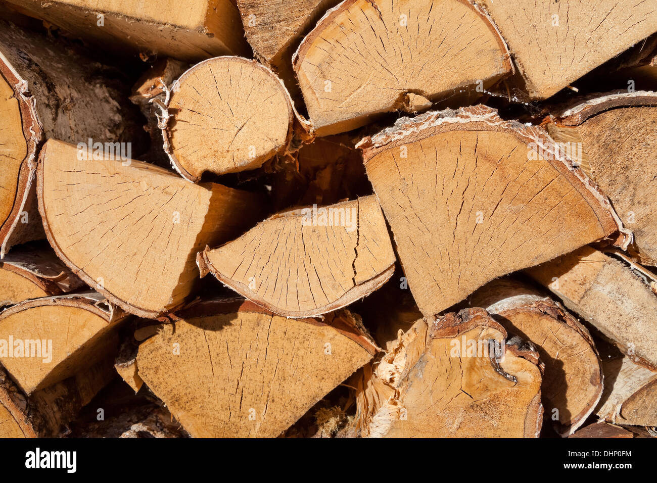 Cut trunks hi-res stock photography and images - Alamy