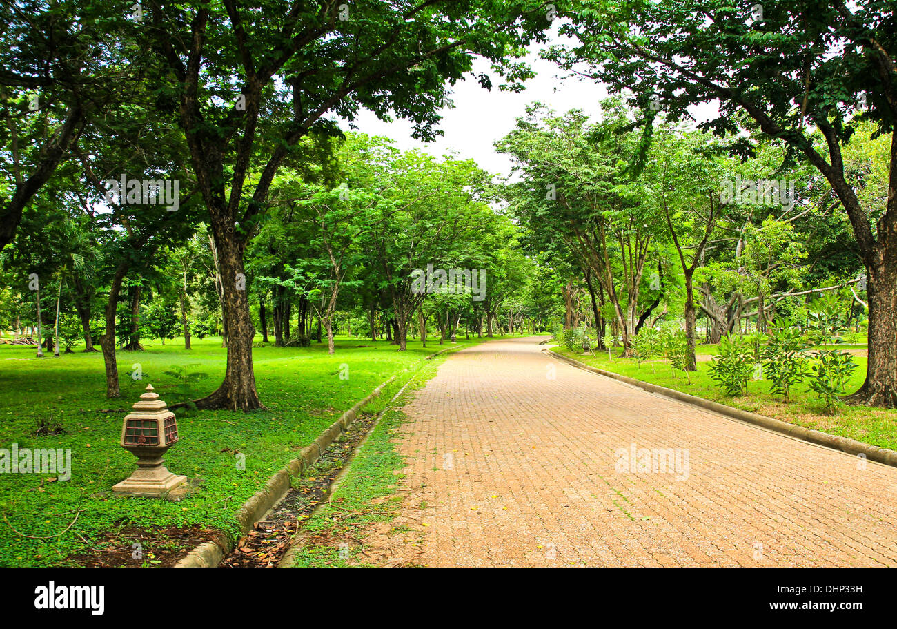 Garden tree nature walkway hi-res stock photography and images - Alamy