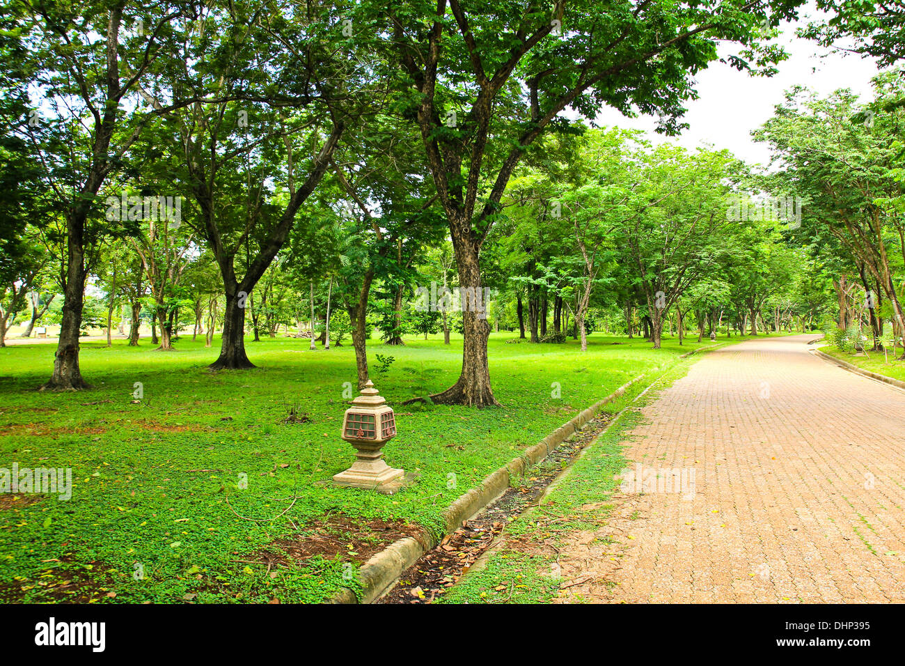 Walkway at nature park hi-res stock photography and images - Alamy