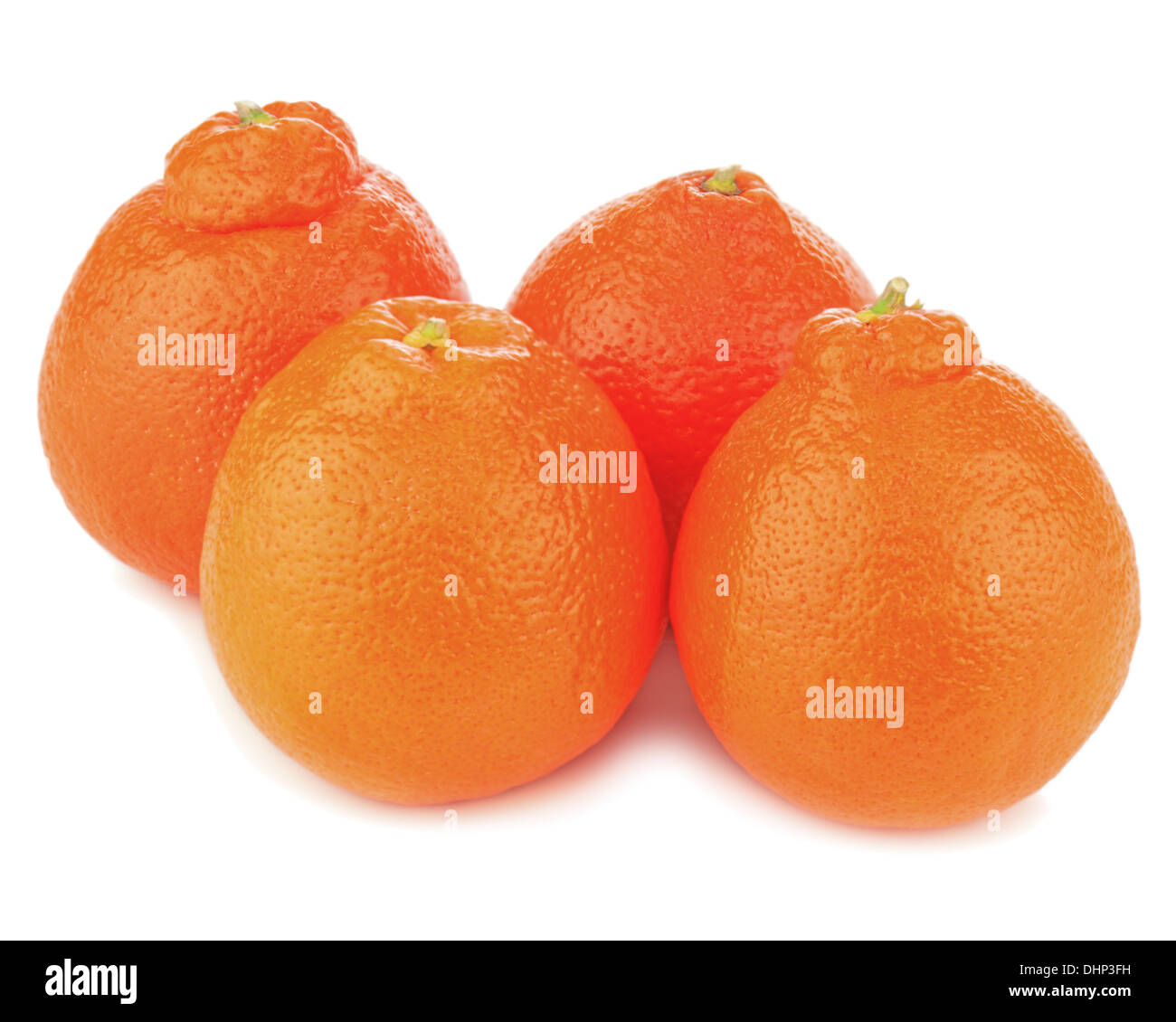 Ripe mineola fruits isolated on white background. Closeup Stock Photo ...