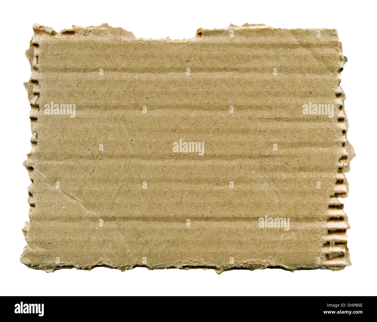 Torn cardboard isolated Stock Photo - Alamy