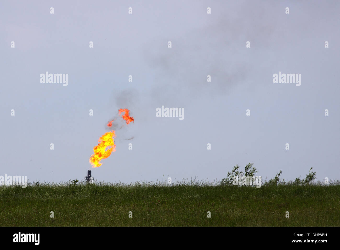 Neck flares hi-res stock photography and images - Alamy