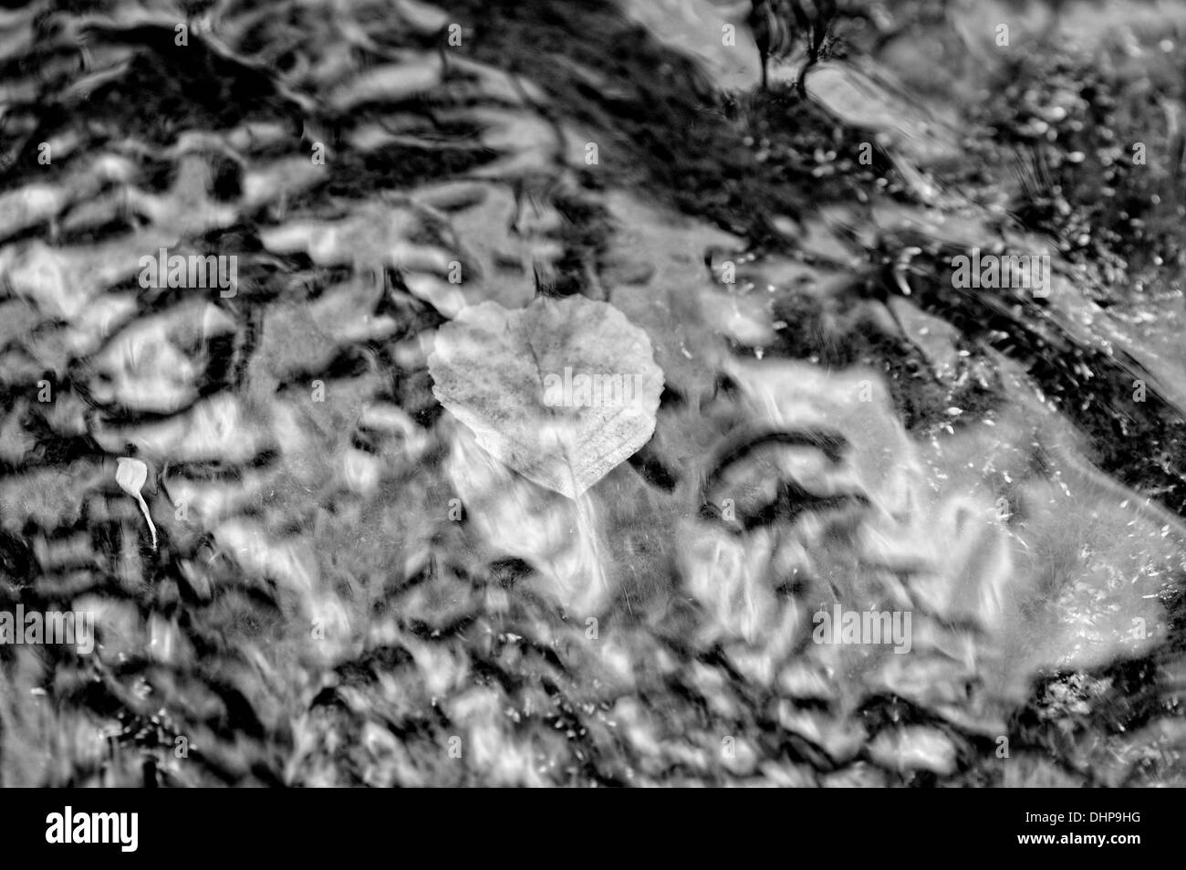 Colored water Black and White Stock Photos & Images - Alamy