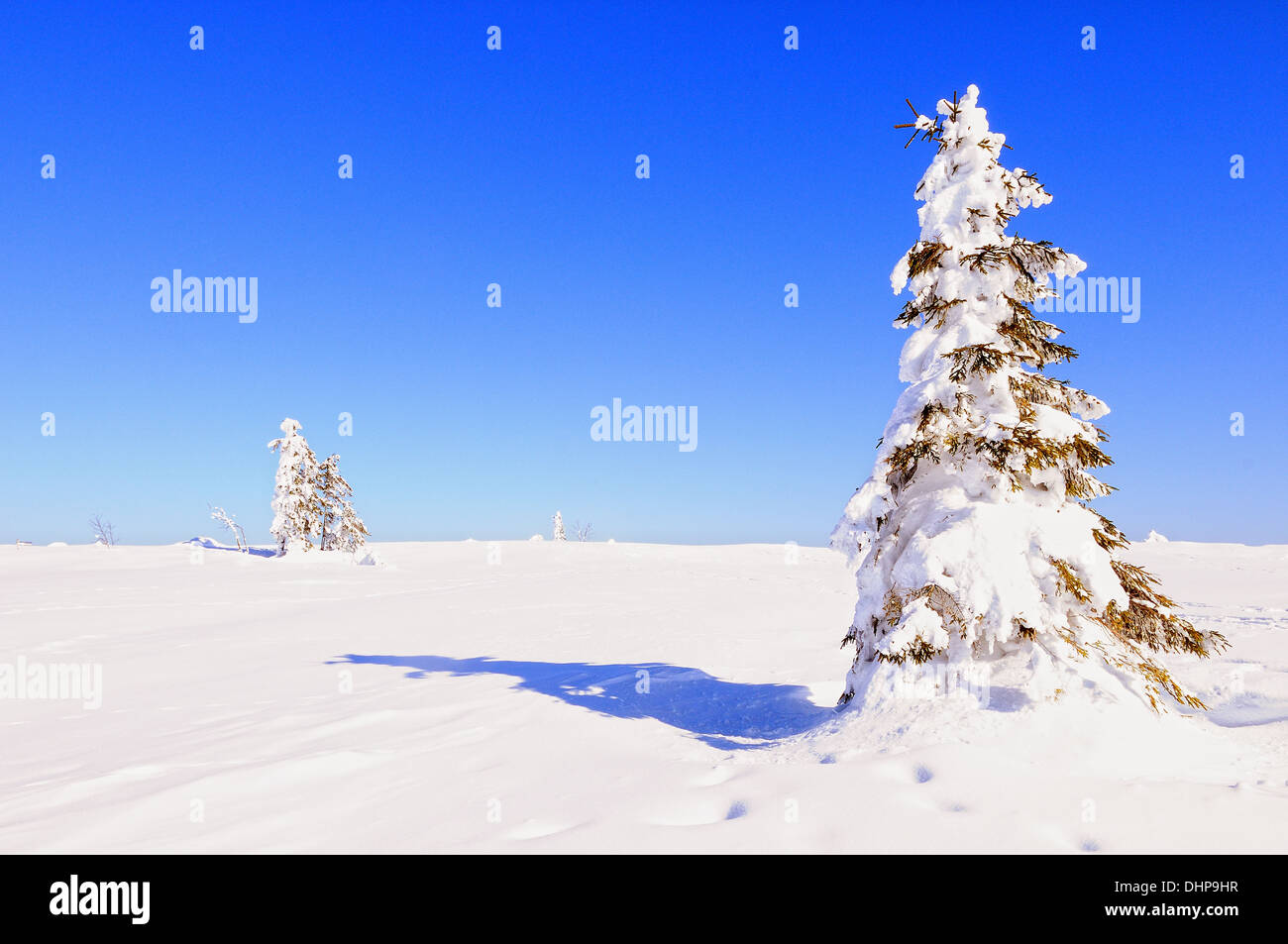 Blue horizon hi-res stock photography and images - Alamy
