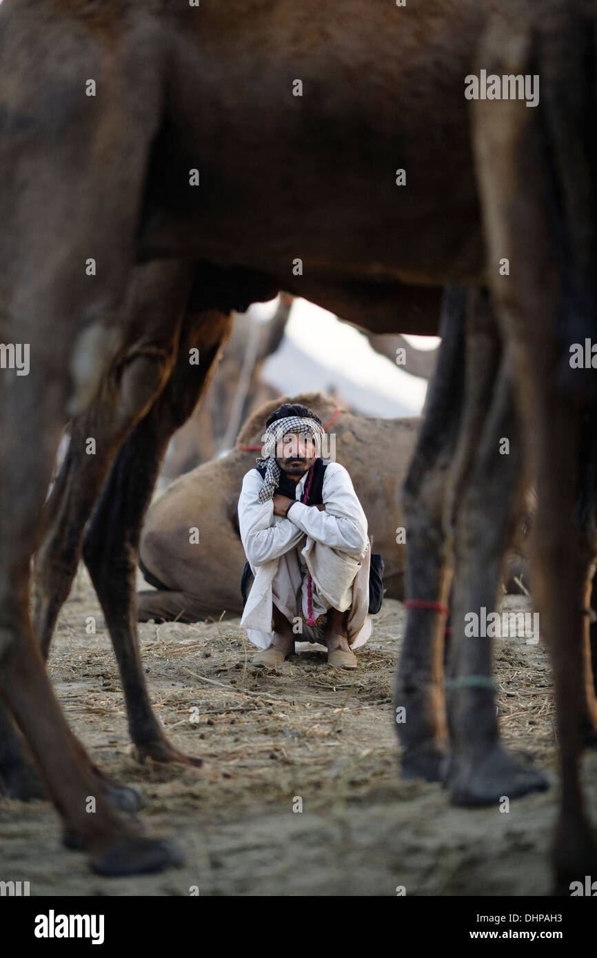 Camel sellers hi-res stock photography and images - Alamy