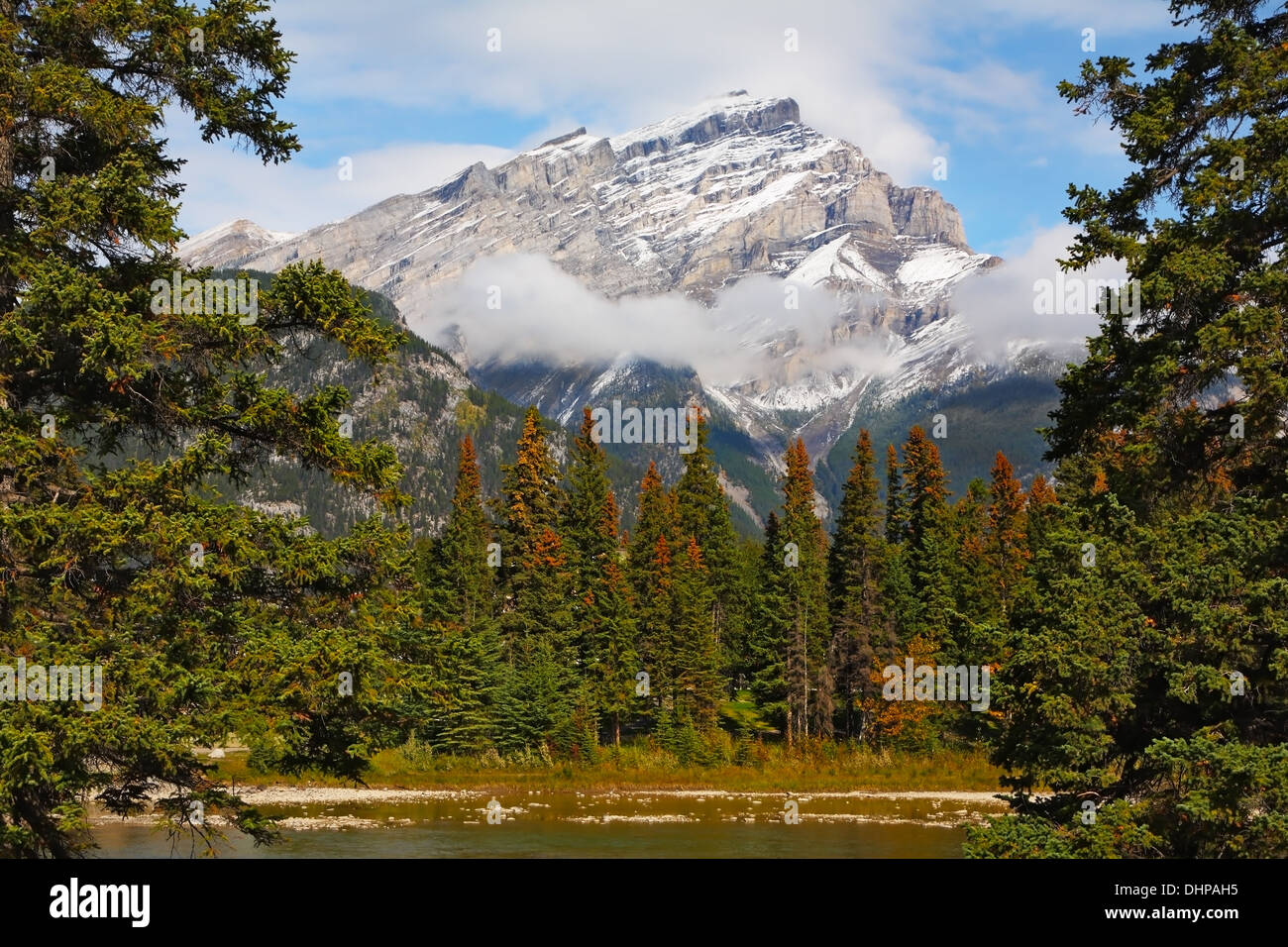 Amazingly beautiful meadow Stock Photo - Alamy