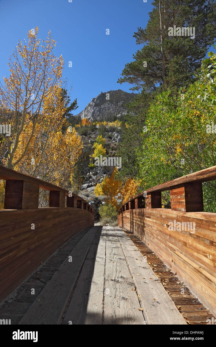 A small bridge over stream Stock Photo - Alamy