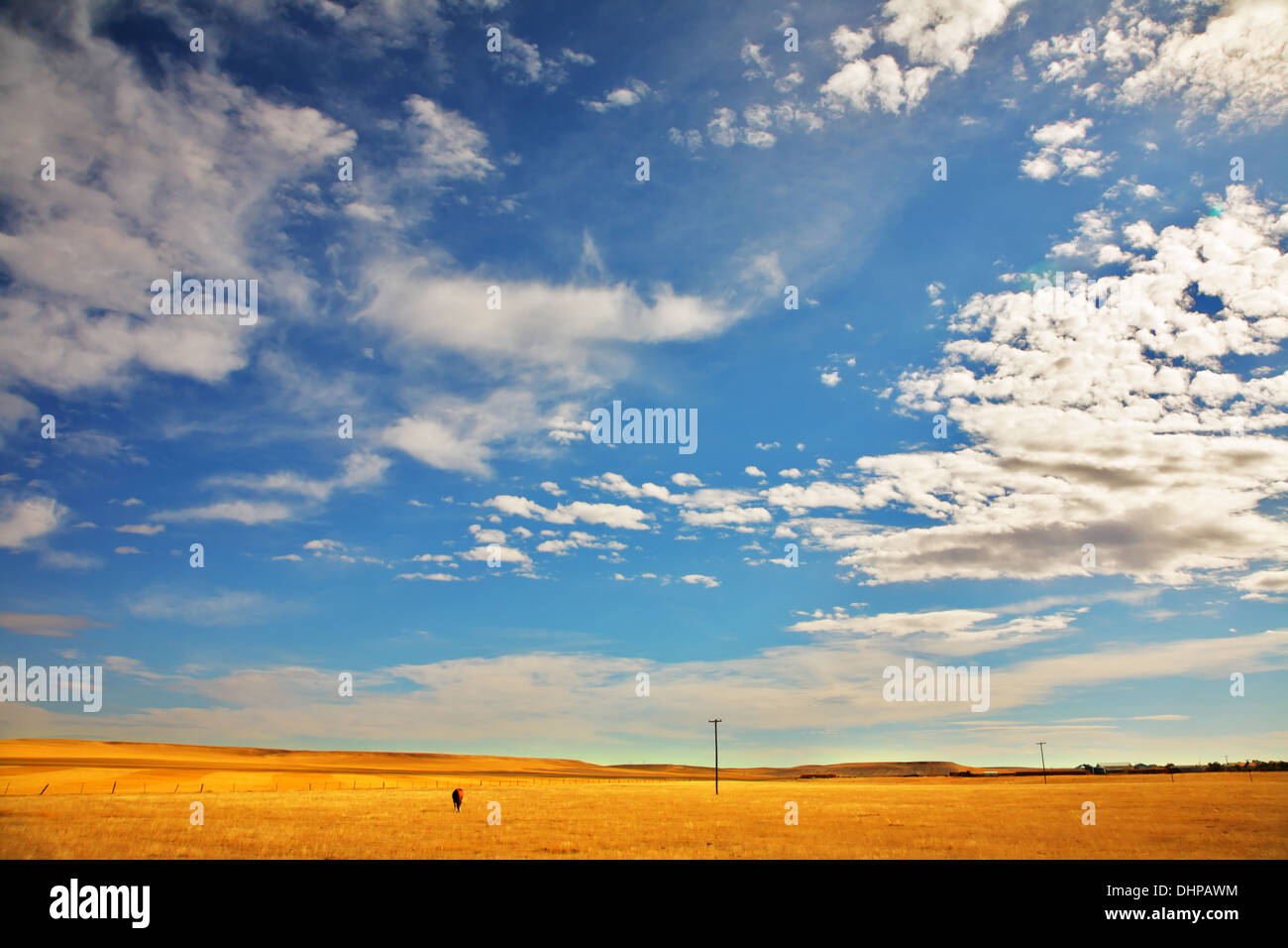 Steppe sun hi-res stock photography and images - Alamy