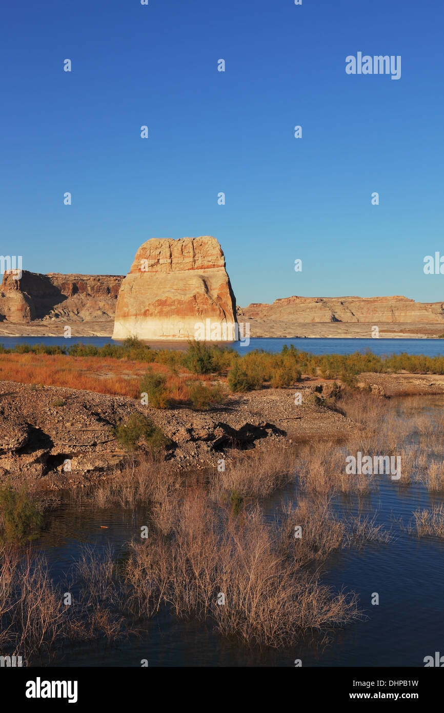 Shore grass hi-res stock photography and images - Alamy
