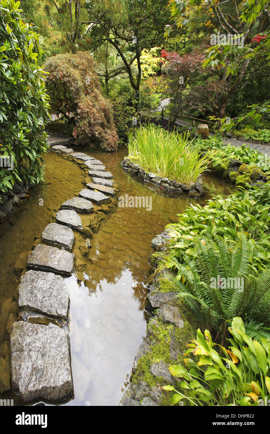 A stream and path from stones Stock Photo - Alamy