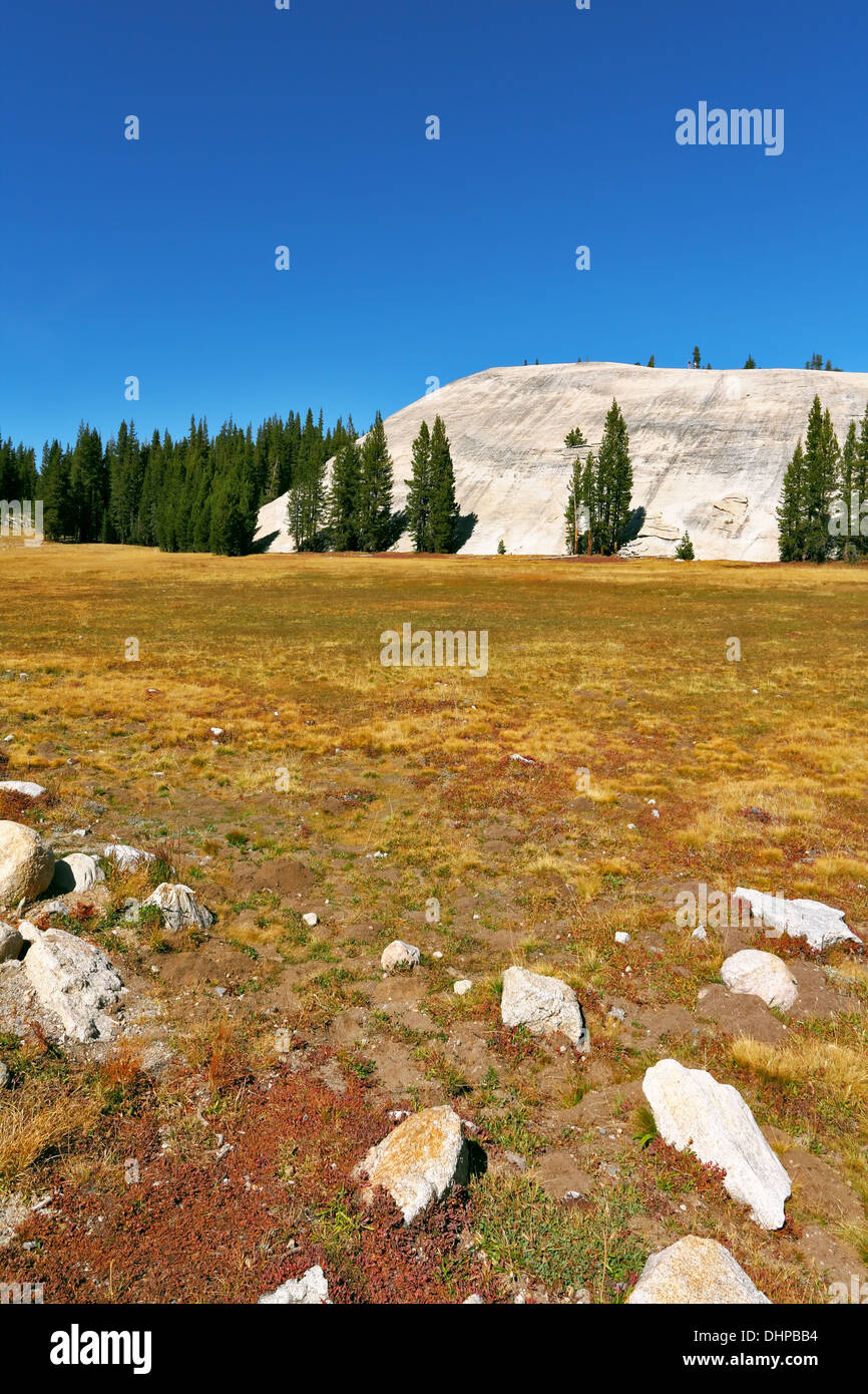 Midday park hi-res stock photography and images - Alamy