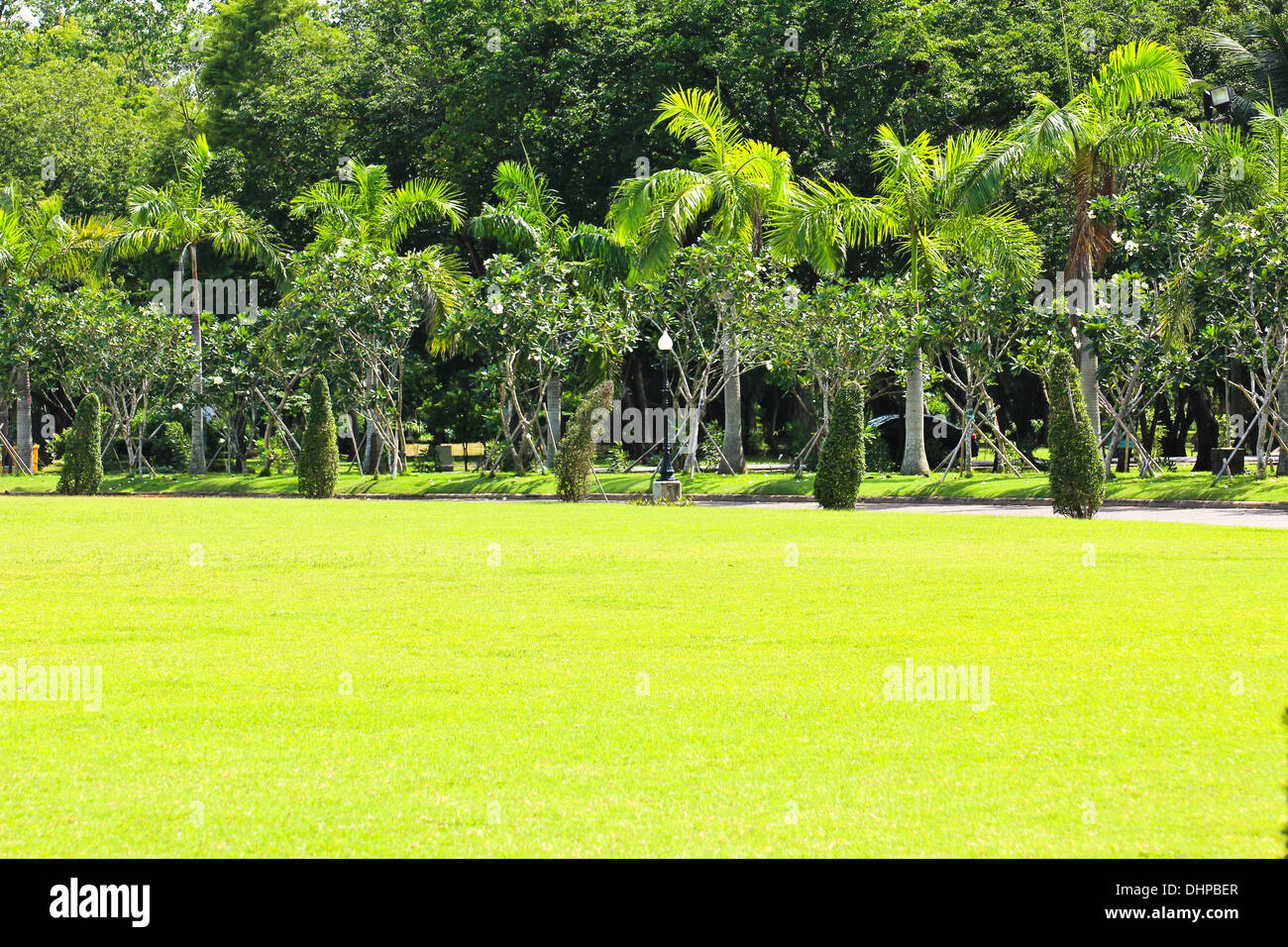 Park green hi-res stock photography and images - Alamy