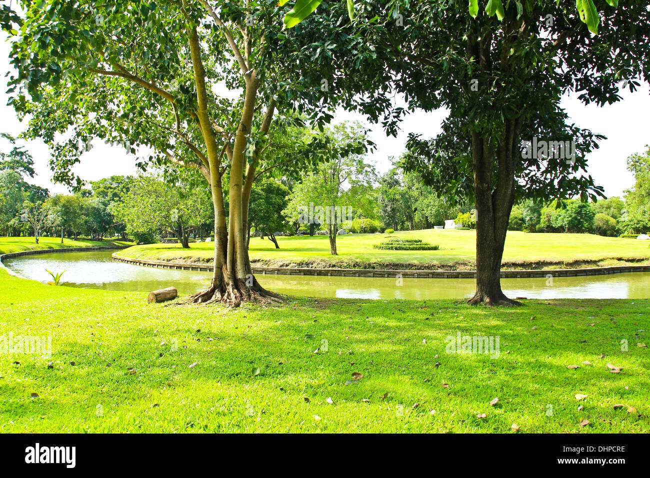 Green trees in park hi-res stock photography and images - Alamy
