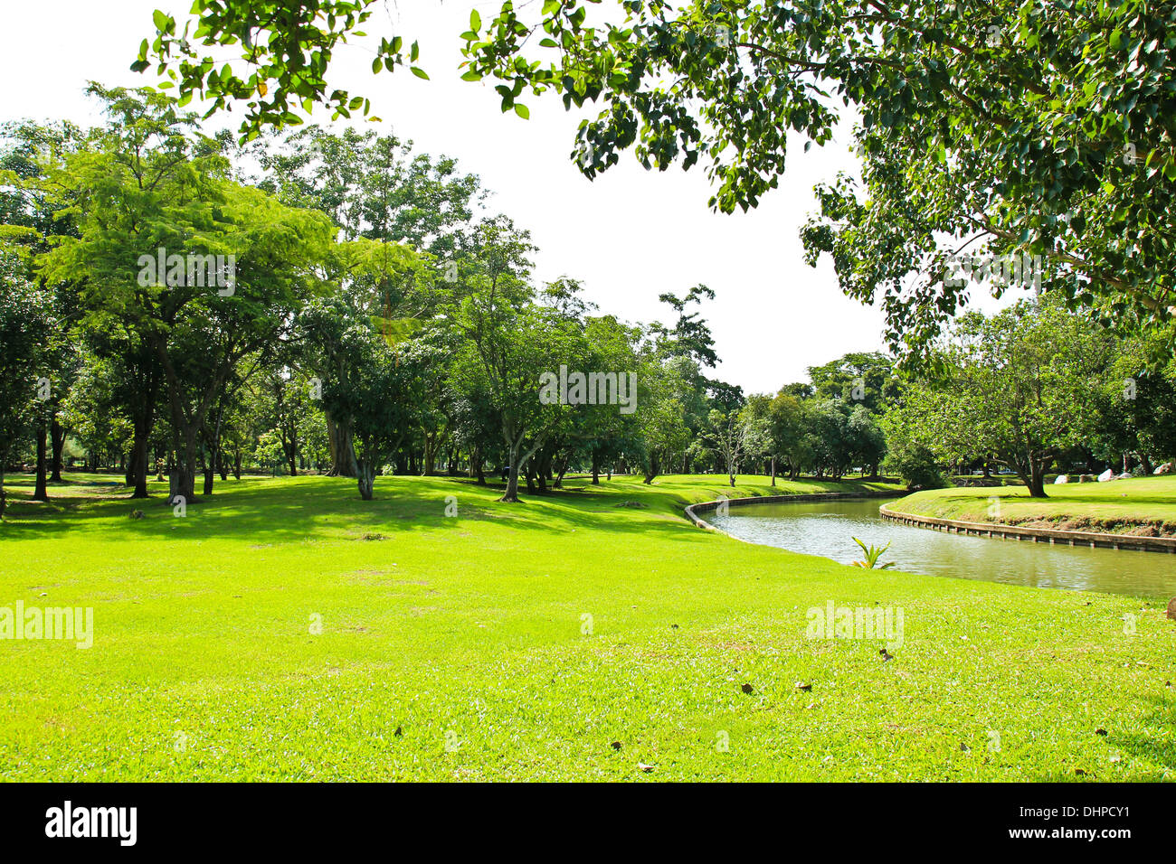Green trees in park Stock Photo - Alamy
