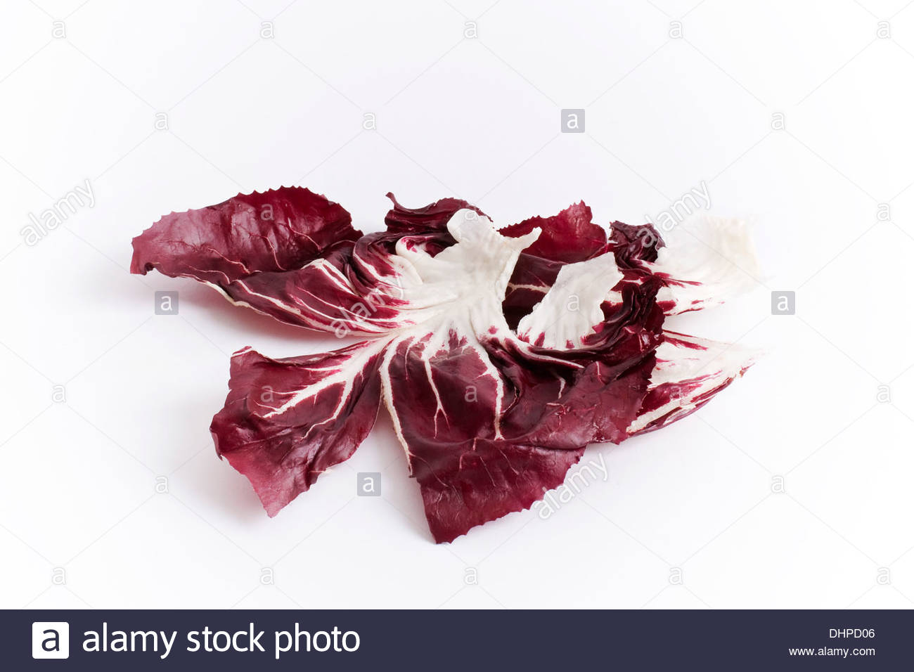 Red Chicory Stock Photos & Red Chicory Stock Images - Alamy