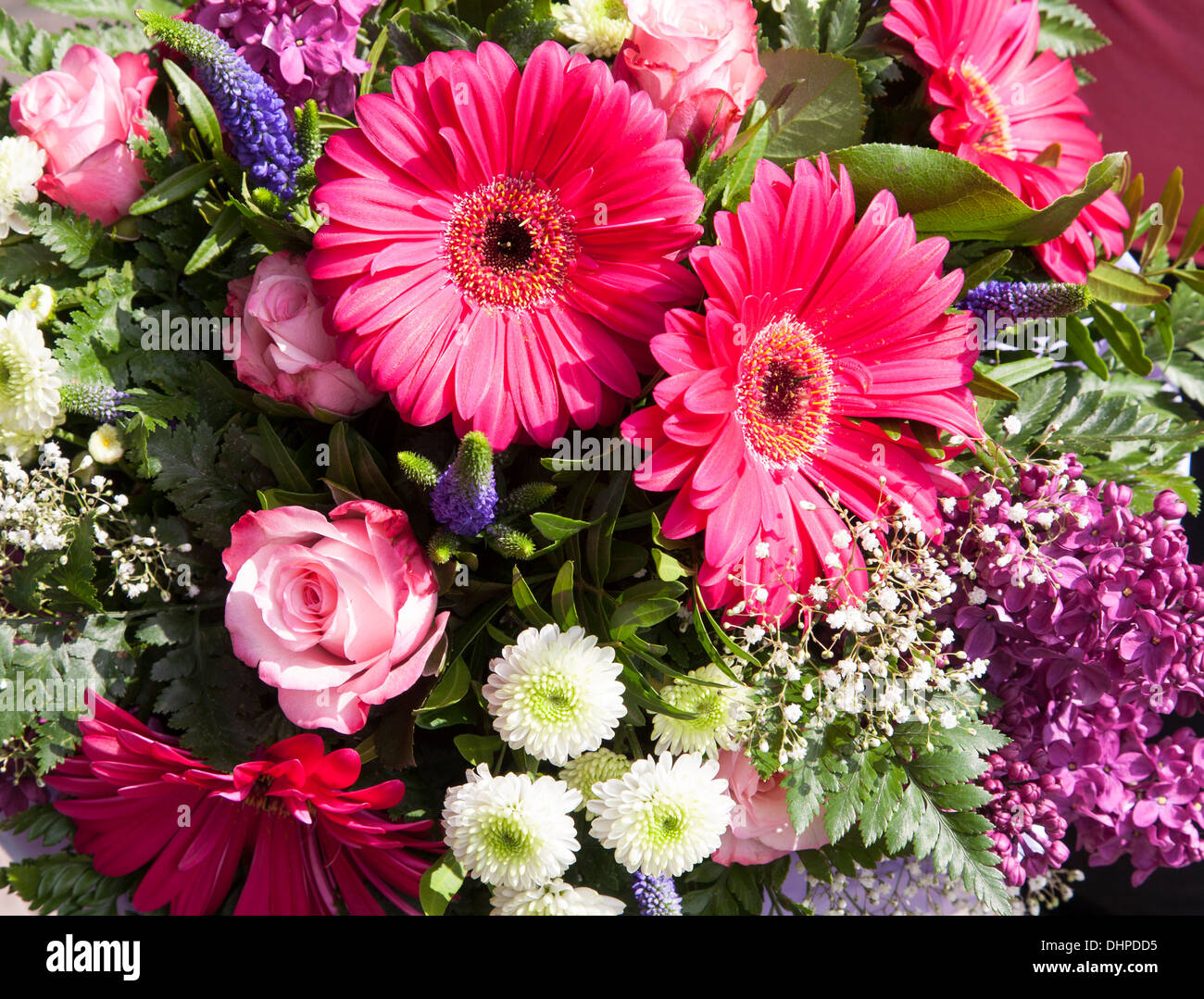 Colourful bunch of flowers hi-res stock photography and images - Alamy