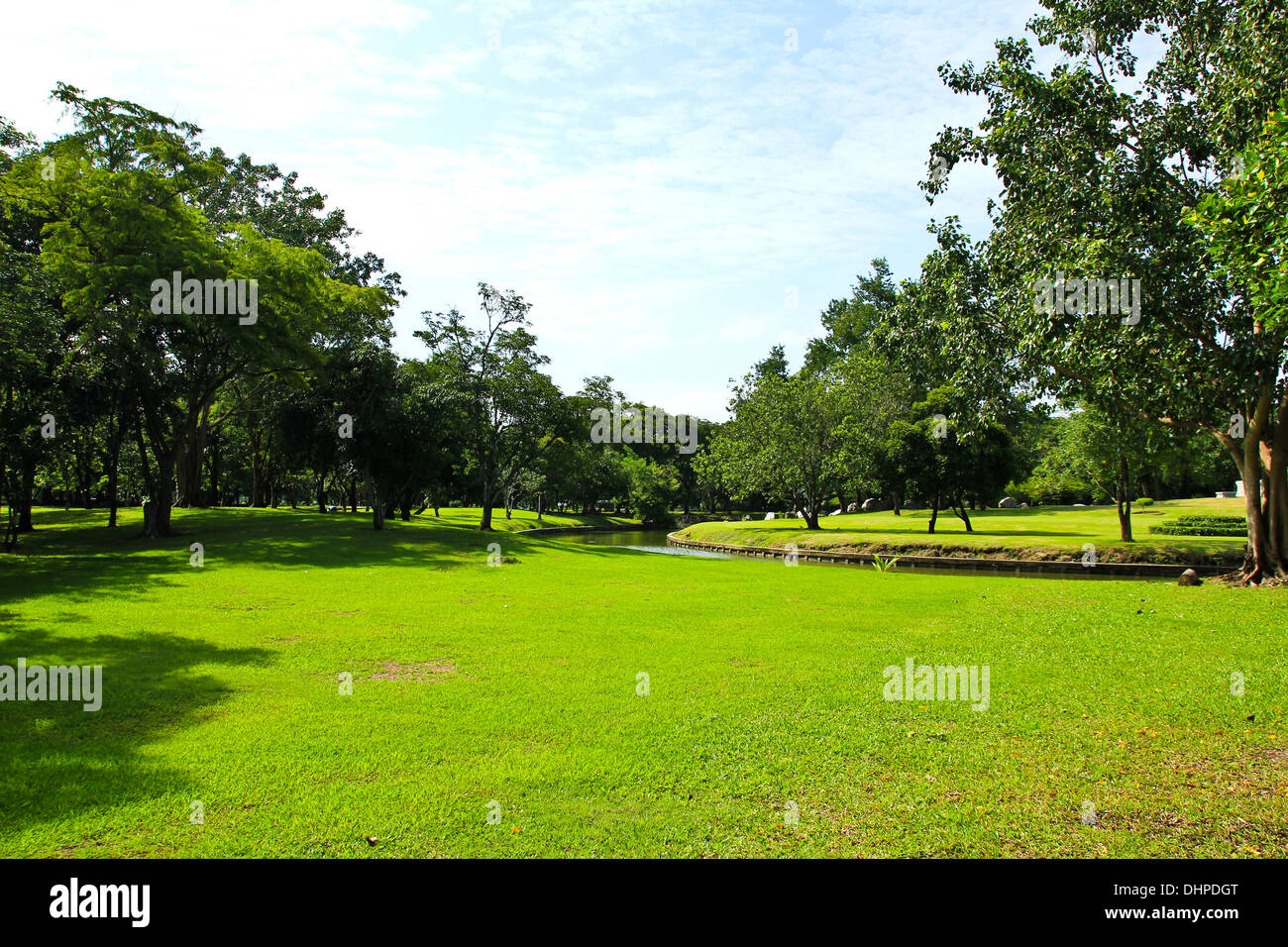 Green trees in park hi-res stock photography and images - Alamy