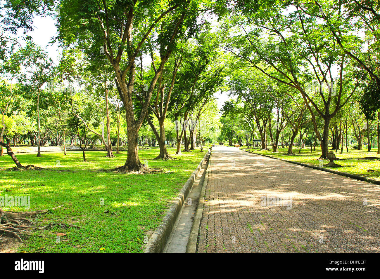 Garden path tree walkway hi-res stock photography and images - Alamy