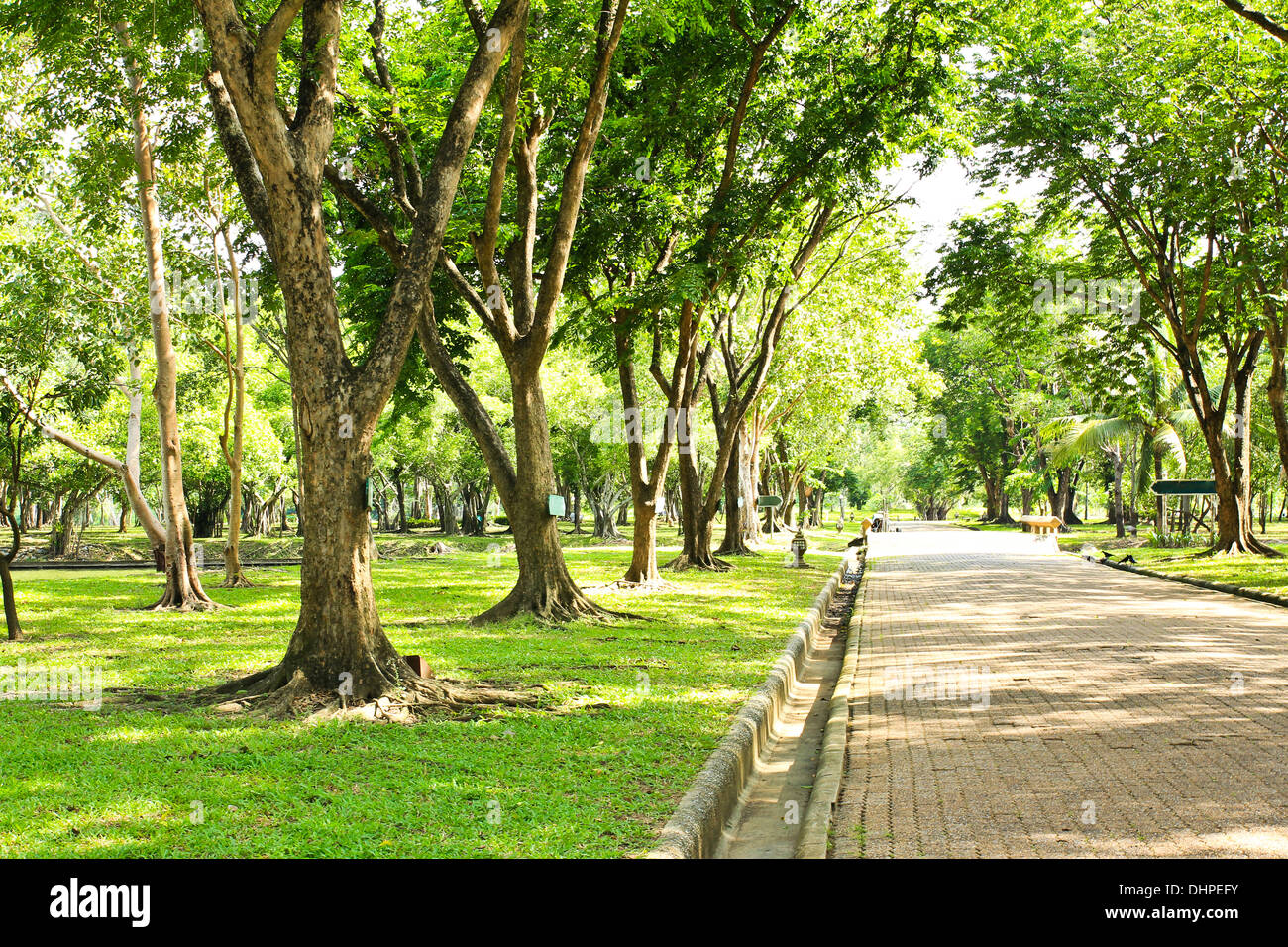 Garden path tree walkway hi-res stock photography and images - Alamy