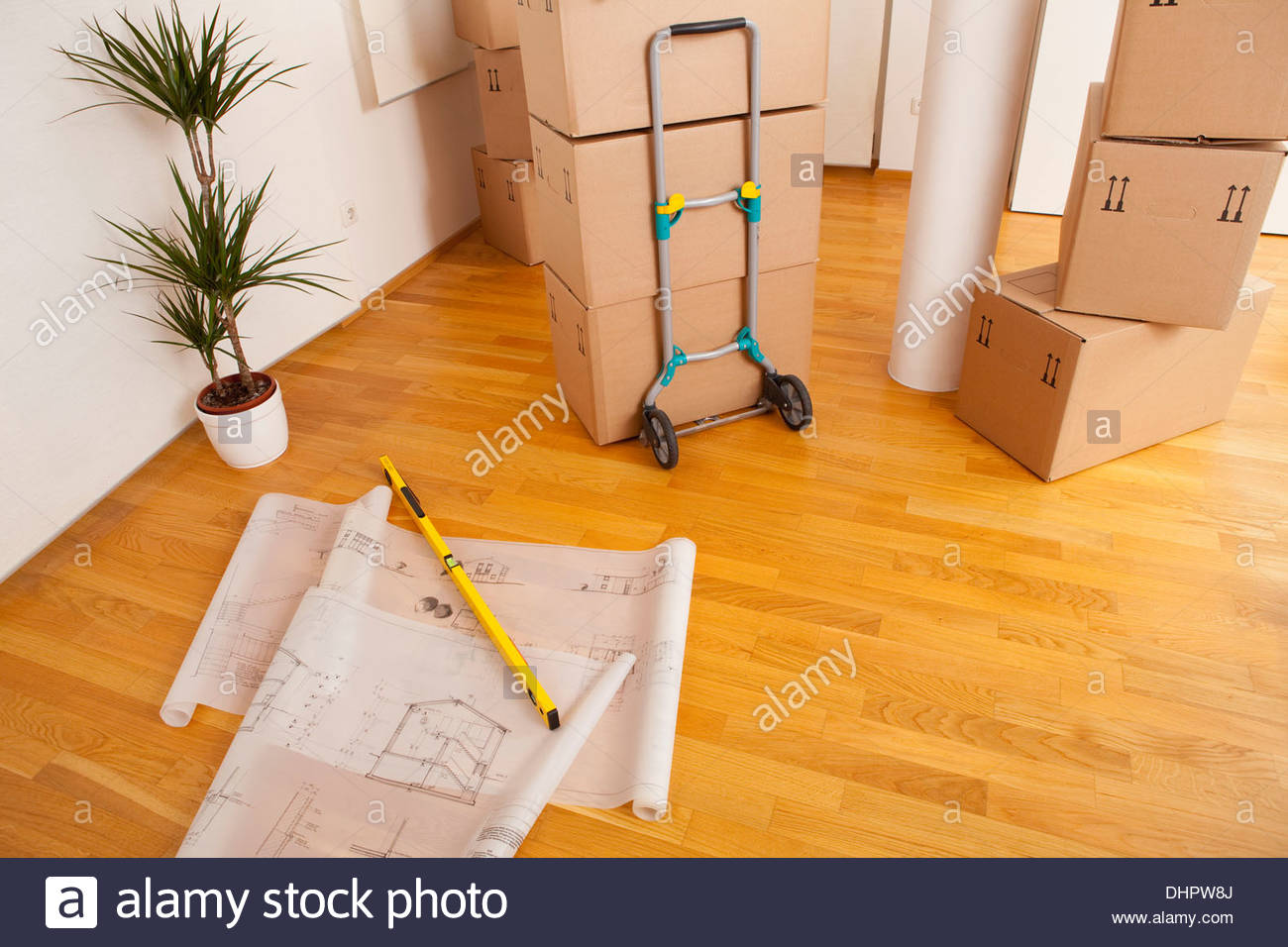 Architects Plan Drawing Stock Photos & Architects Plan Drawing Stock ...