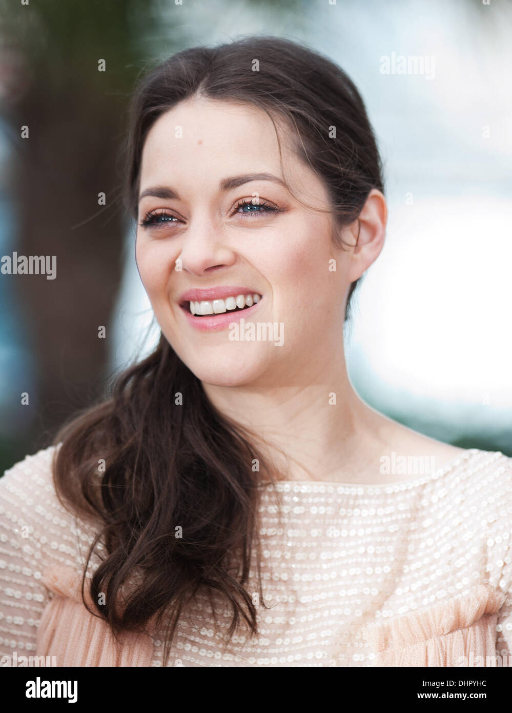 Marion Cotillard De Rouille Et D'os (Rust and Bone) photocall during ...