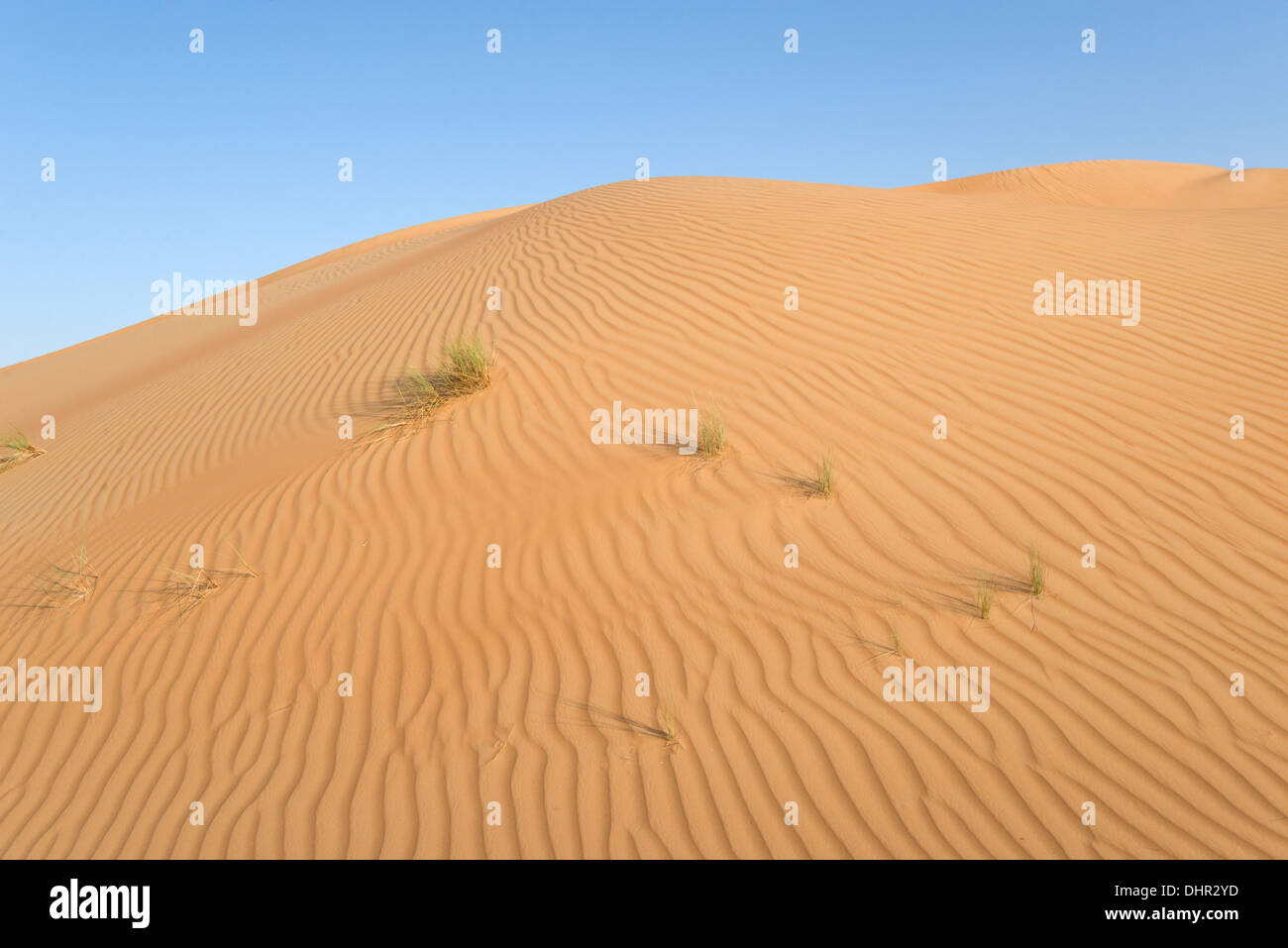 Wahiba Sands, Oman Stock Photo - Alamy