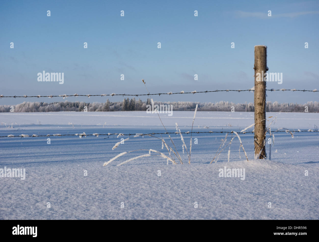 Rural winter landscape. Barbed wire fence post in snowy field Stock ...