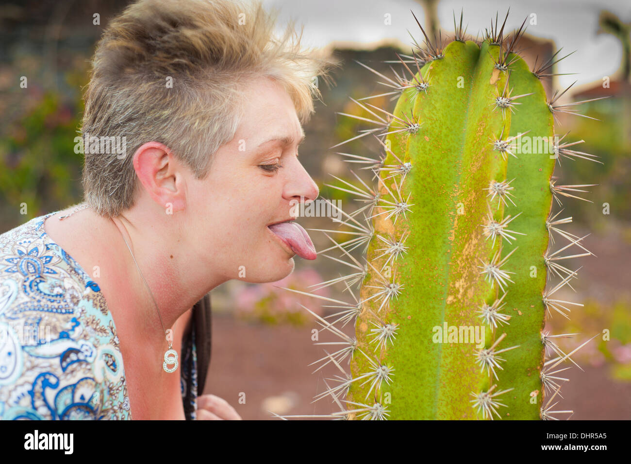 Female sticking tongue out licking a cactus with big spikes Stock Photo ...