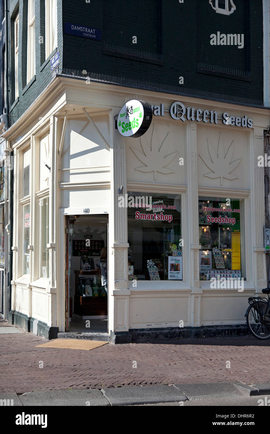 Netherlands amsterdam shop window hi-res stock photography and images ...