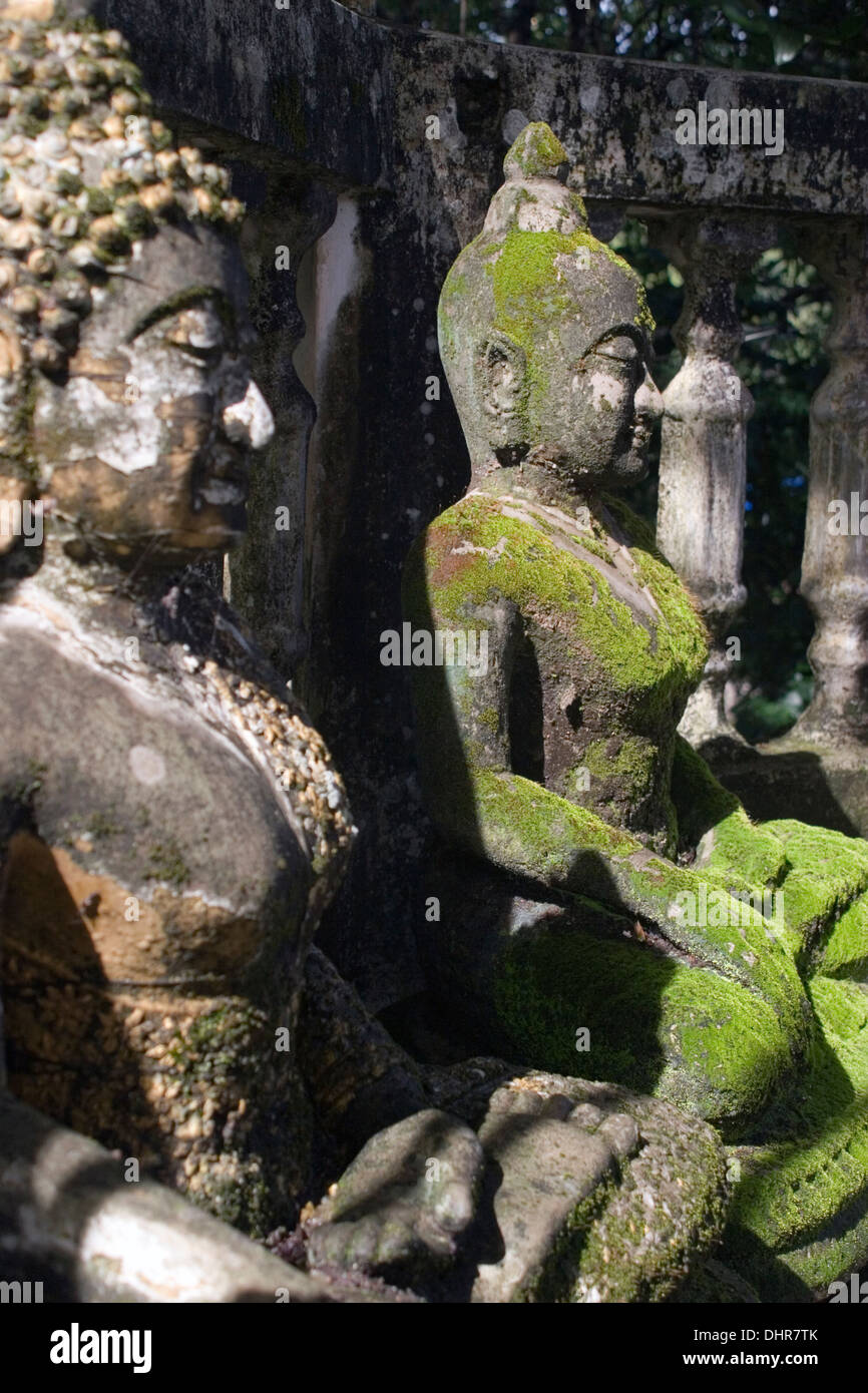 Moss growing on statue hi-res stock photography and images - Alamy
