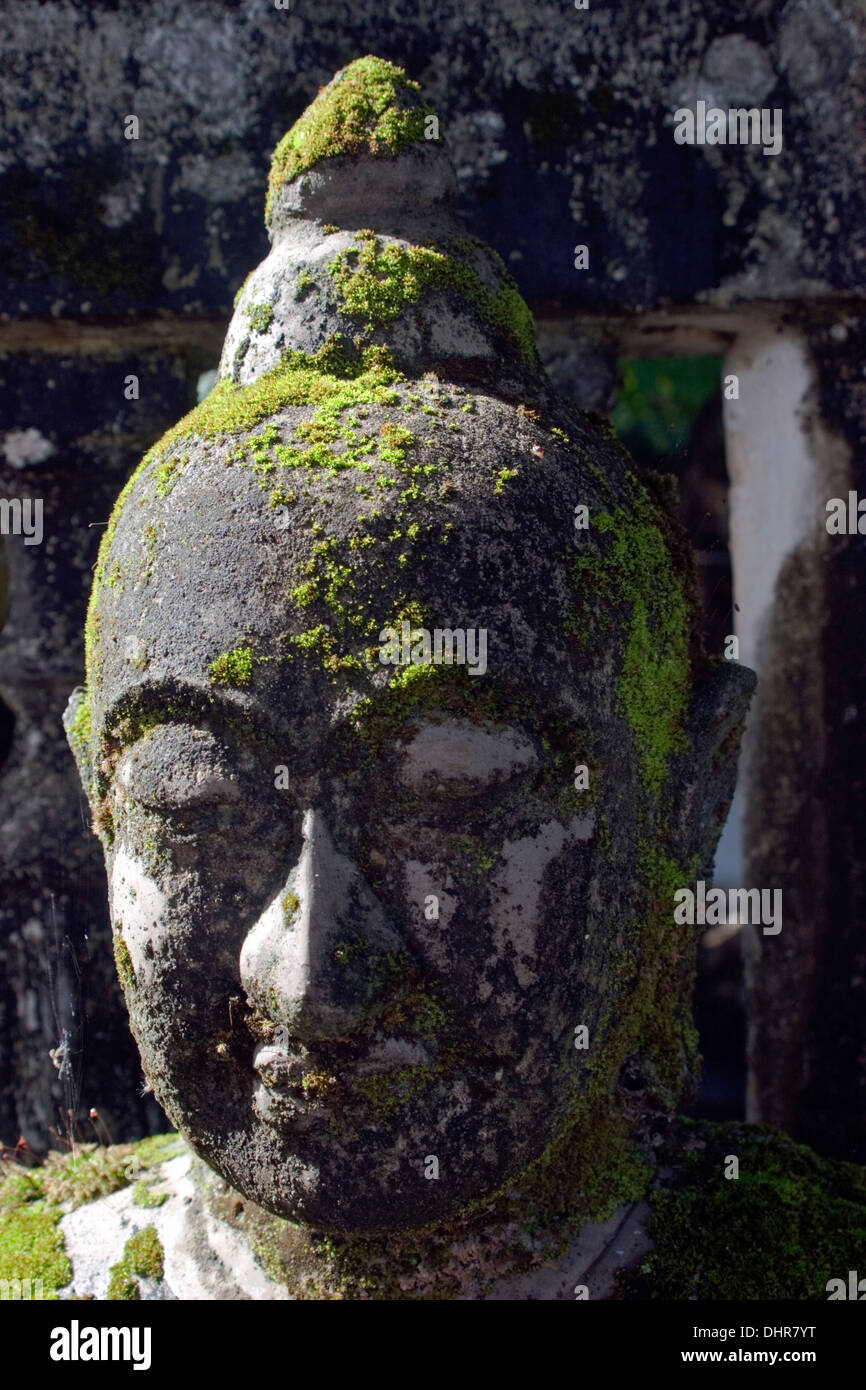 A beautiful Buddha statue covered with moss is on display at a temple ...