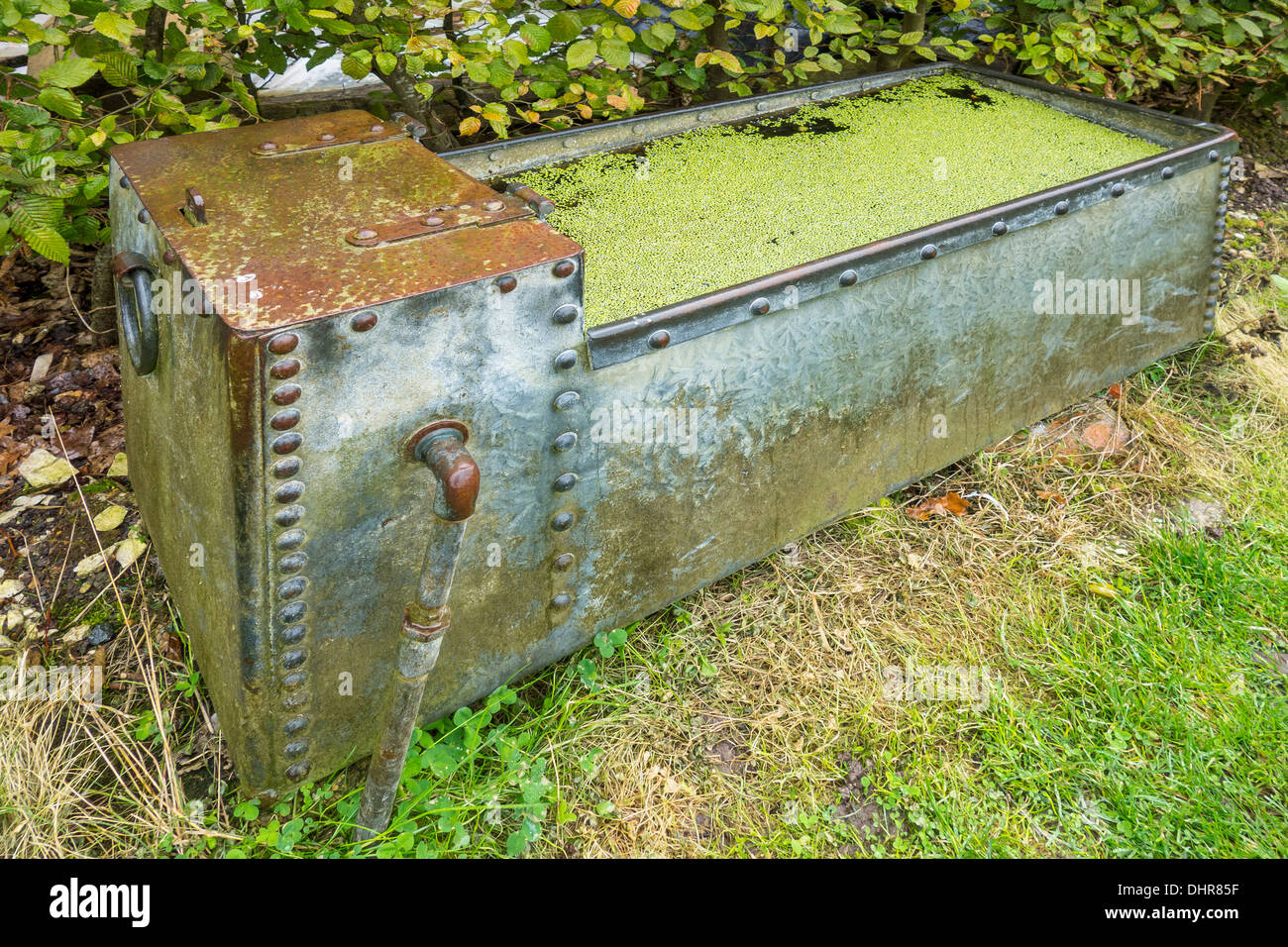 Old Vintage Animal Water Trough Stock Photo - Alamy