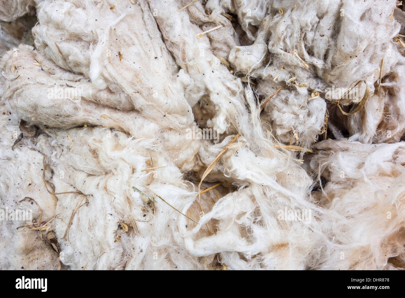 Wool from sheep hi-res stock photography and images - Alamy