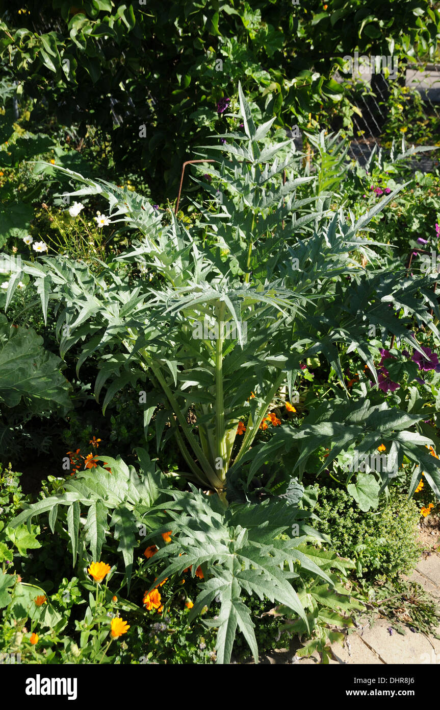 Cardi hi-res stock photography and images - Alamy