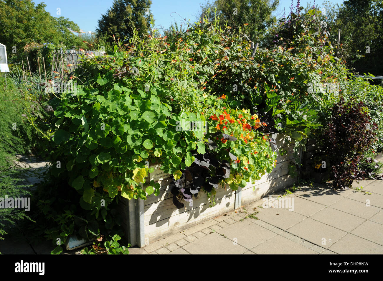 Beed hi-res stock photography and images - Alamy