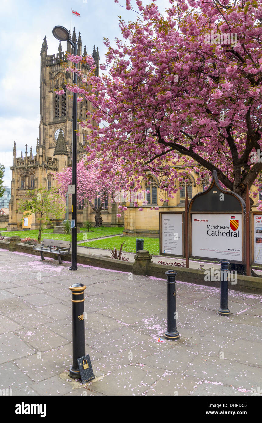 Manchester victoria sign hi-res stock photography and images - Alamy