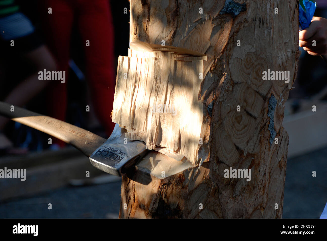 Cutting trunk hi-res stock photography and images - Alamy