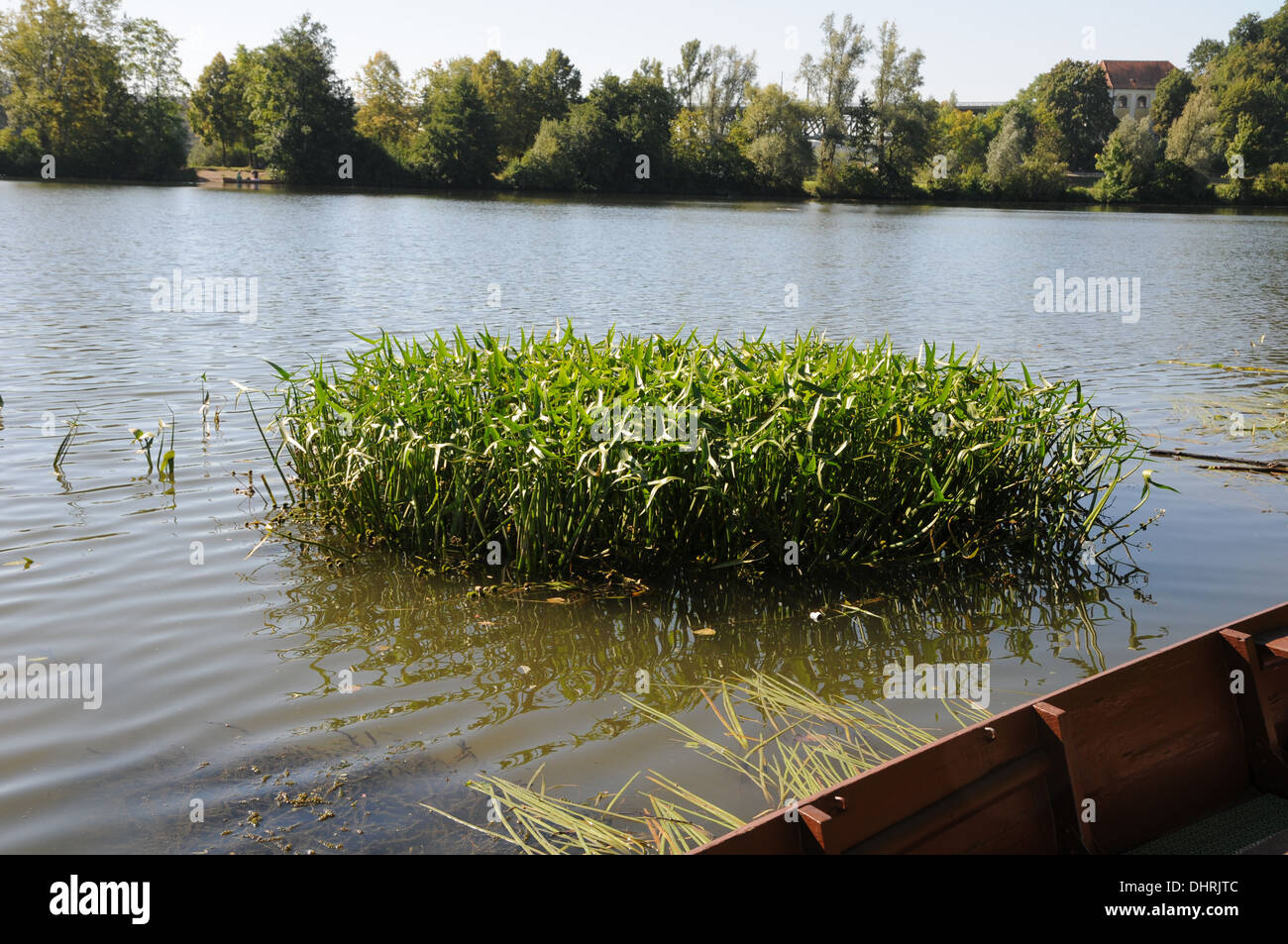 Arrowhead Pond High Resolution Stock Photography and Images - Alamy