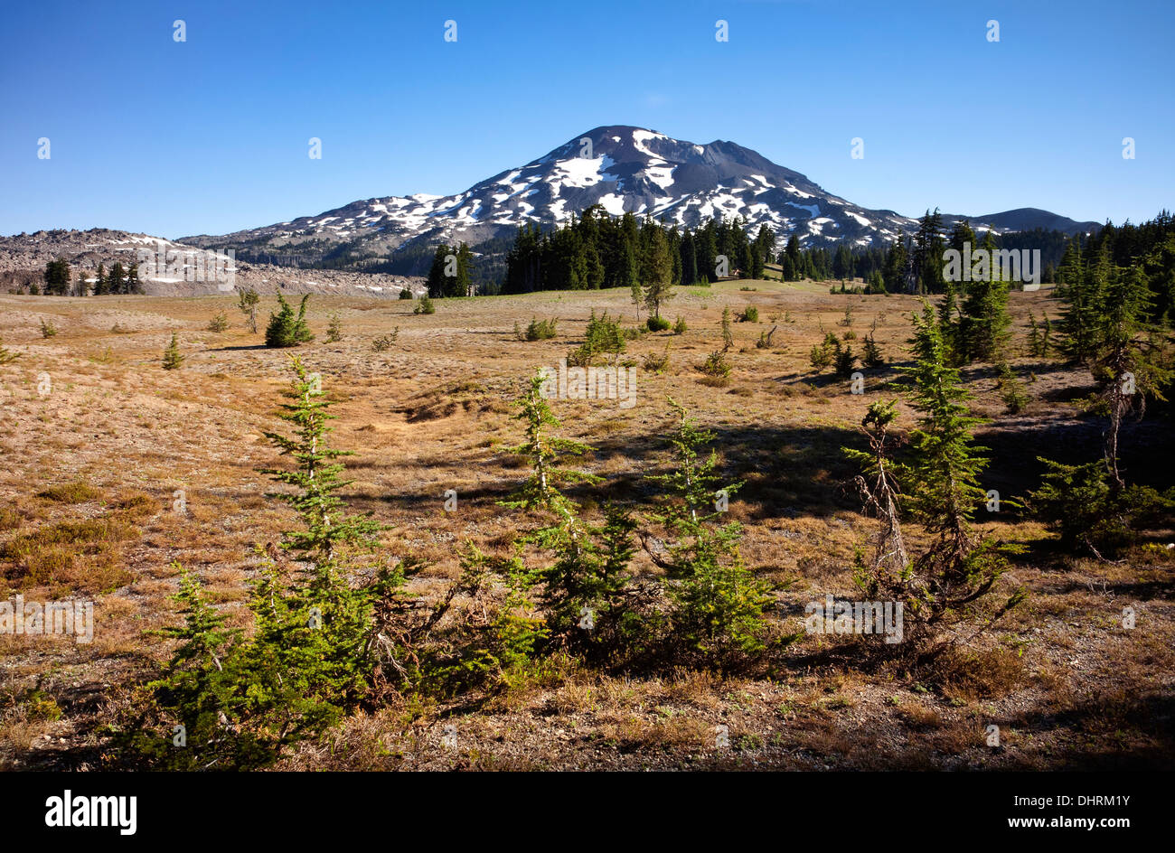 .OREGON - The South Sister and the Rock Mesa from a meadow on the trail ...