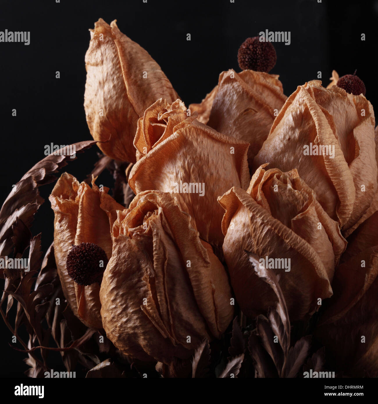 Old dried roses bouquet Stock Photo - Alamy