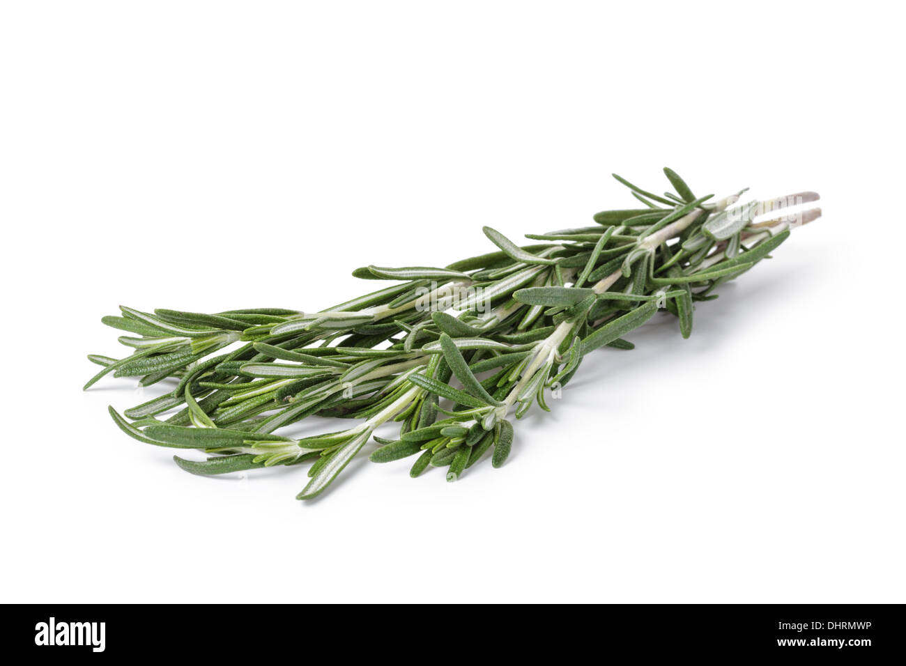 fresh rosemary branch, isolated on white background Stock Photo - Alamy
