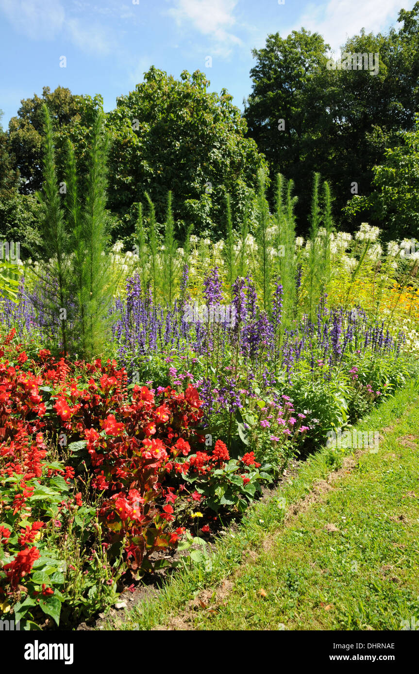 Lobelias hi-res stock photography and images - Alamy
