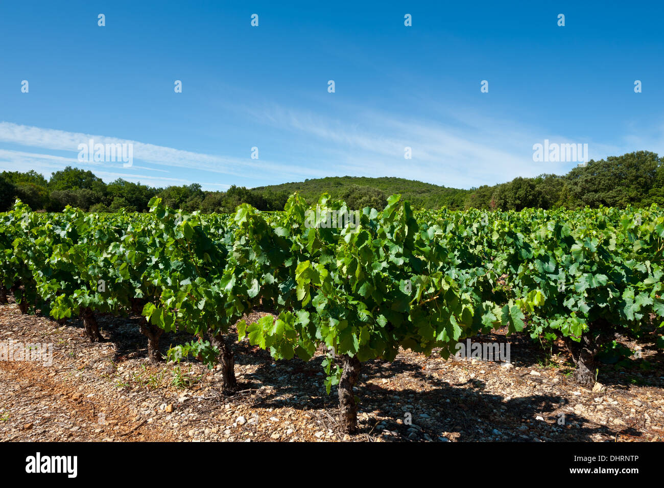 Rural countryside of southern france hi-res stock photography and ...
