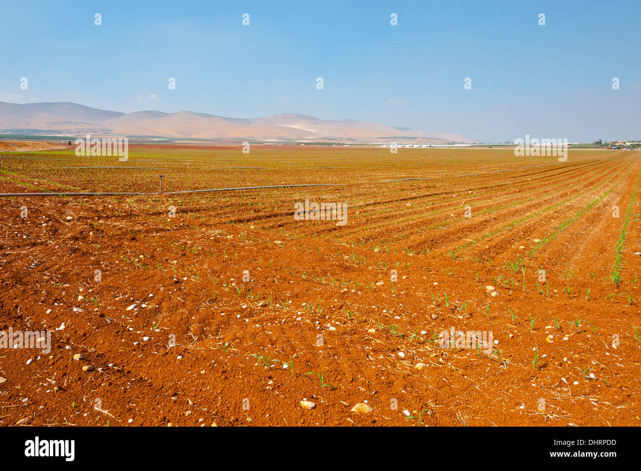 Israeli Irrigation System