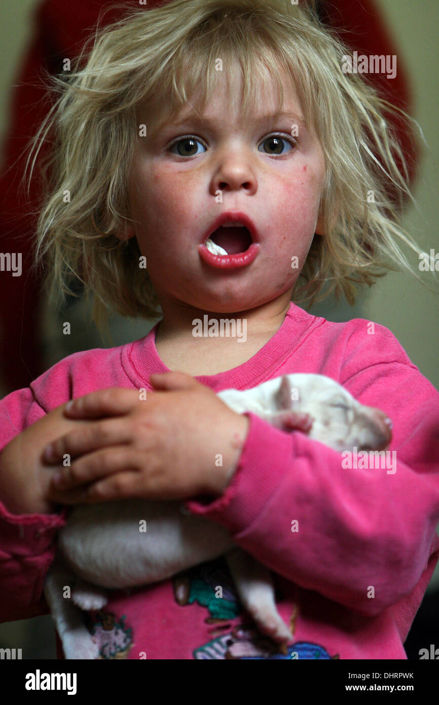 A little blond boy with a puppy dog in his arms, a newborn dog, kid ...