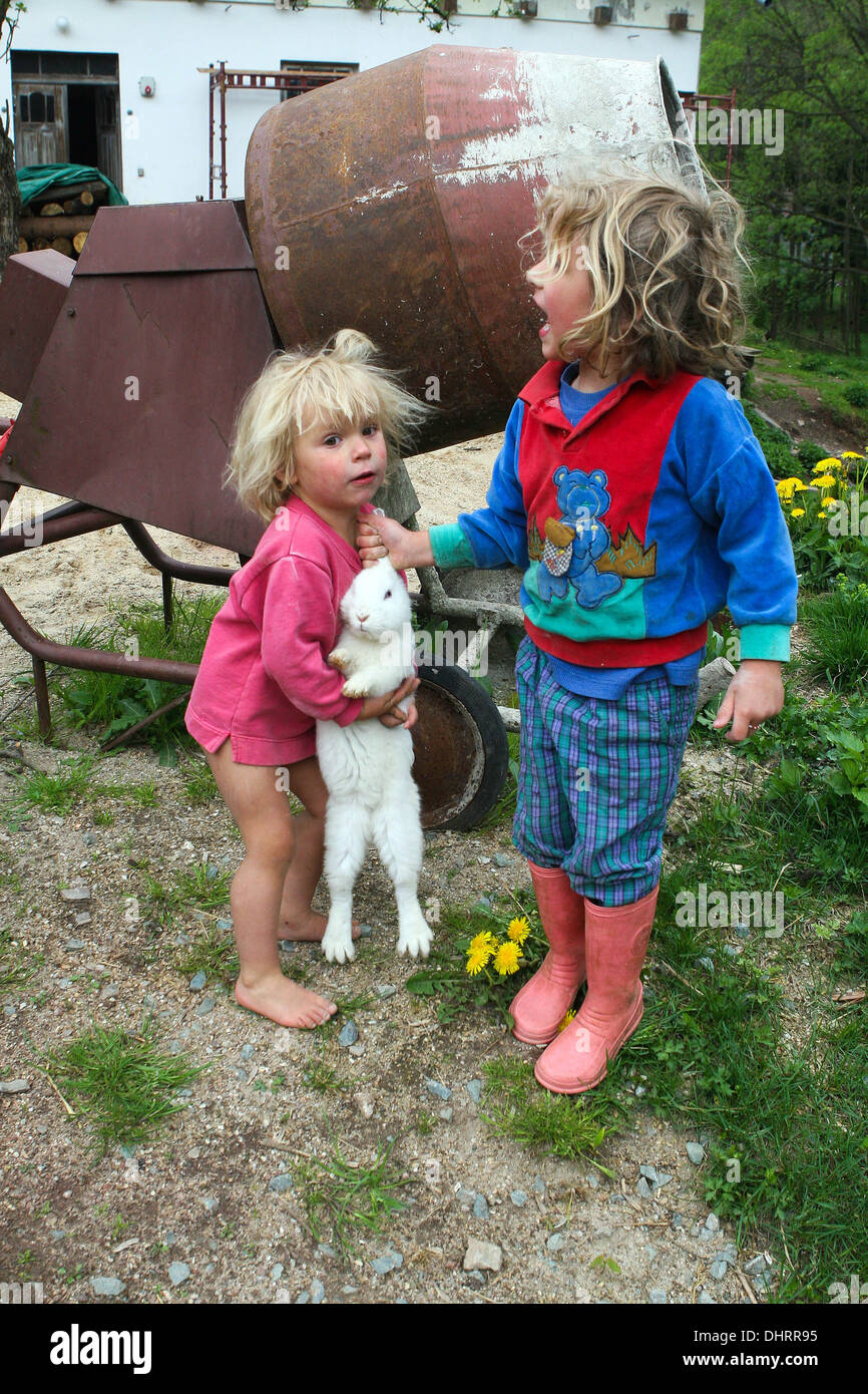 Two blond children playing with white rabbit in the backyard Stock ...