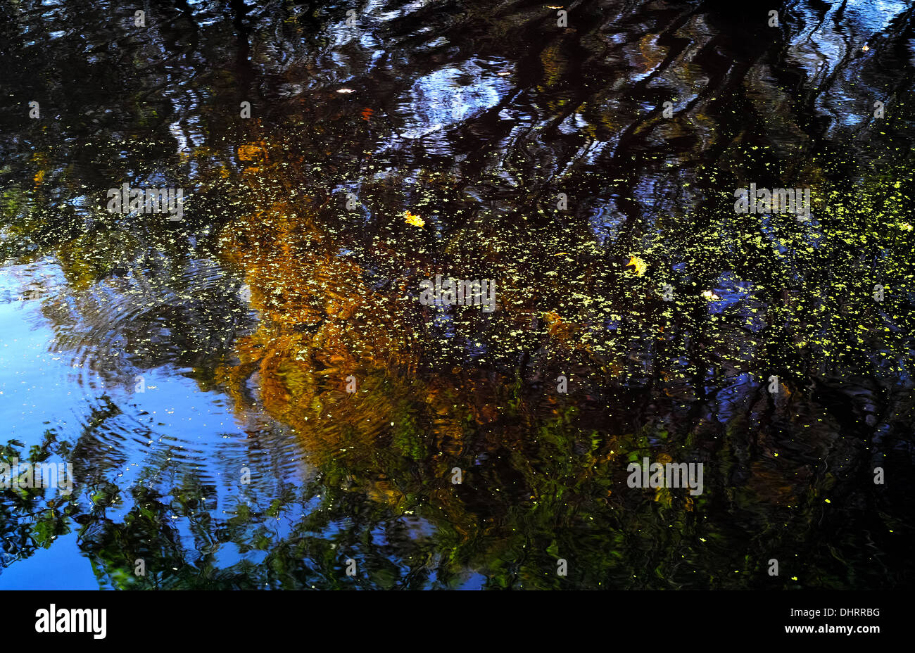 water reflection with ripples on pond and leaves Stock Photo - Alamy