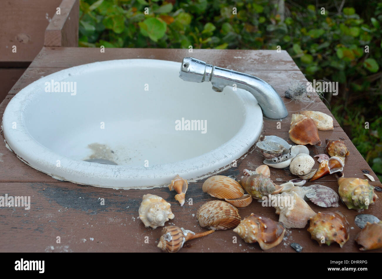 Seashell washing station at the Hilton Resort on Marco Island, Florida ...